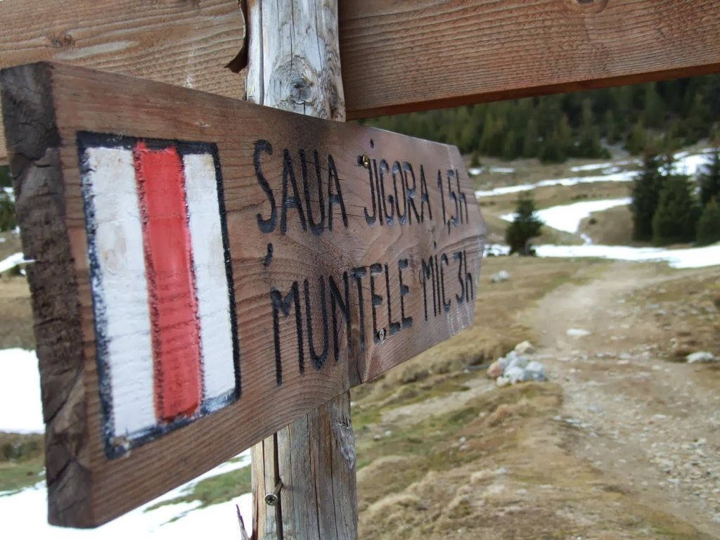 Vârful Ţarcu – Locuri de la munte, prin Banat sau aiurea