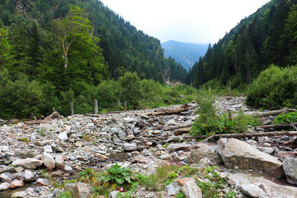 Refugiul Gugu – Locuri de la munte, prin Banat sau aiurea